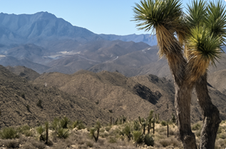 Investor Presentation